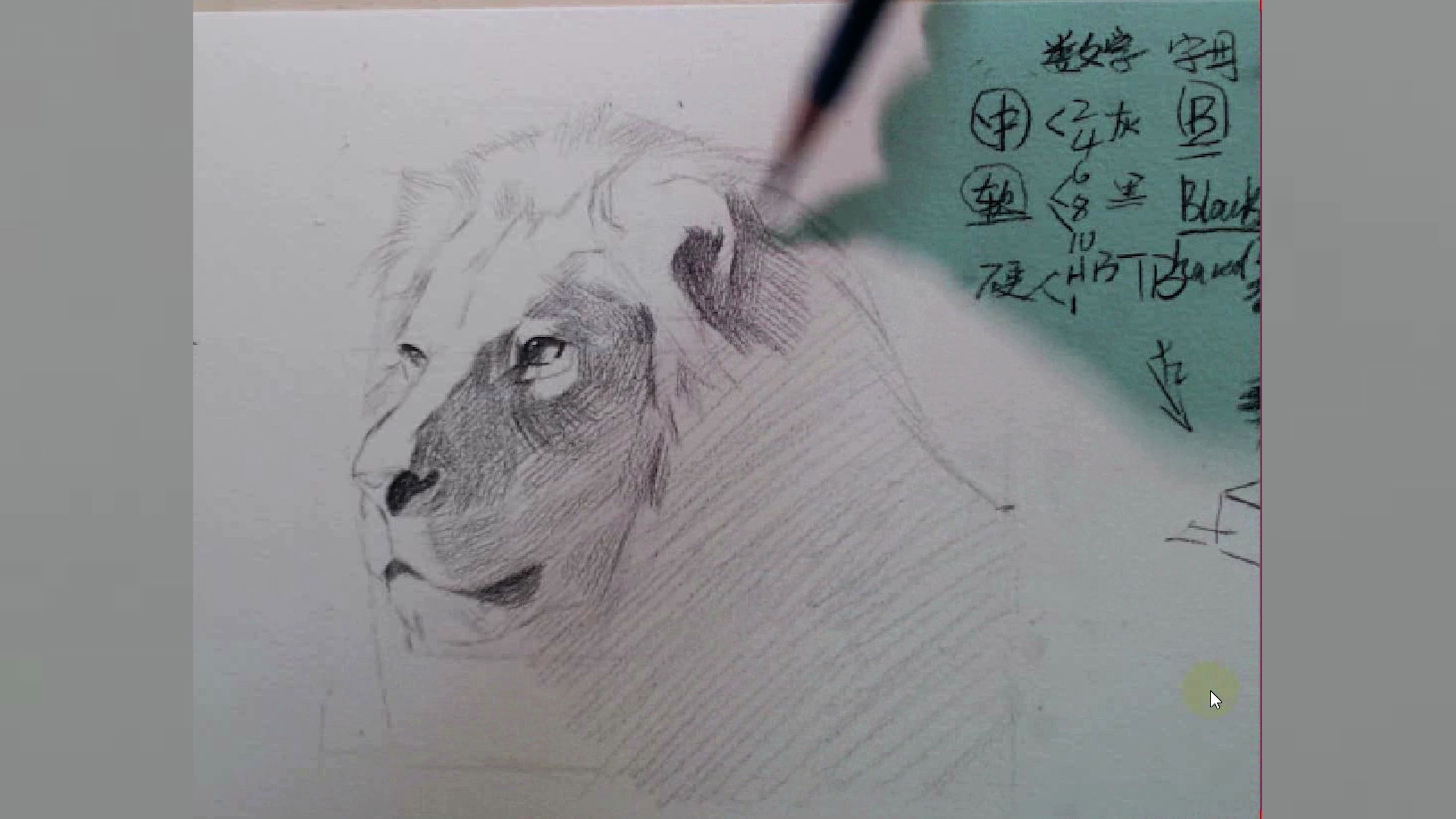 画素描不会表达毛发质感?来看看美院老师怎么画的,原来这么简单