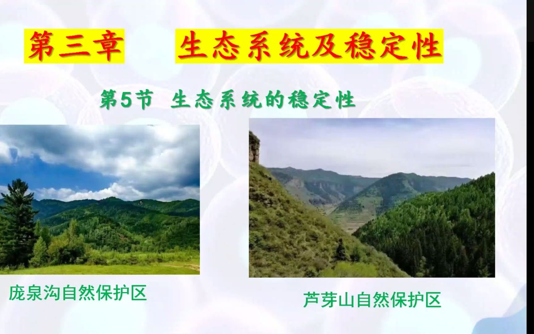 高中生物人教2019选择性必修二第三单元第五节生态系统的稳定性