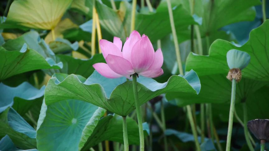 人生就像是一场旅行,在乎的不是目的地,而是沿途的风景!