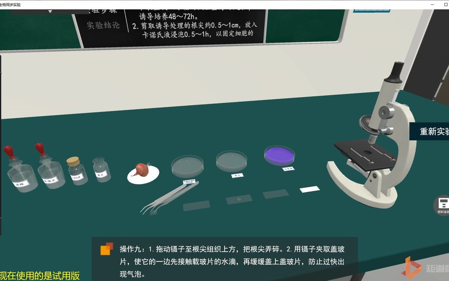 低温诱导植物染色体数目的变化