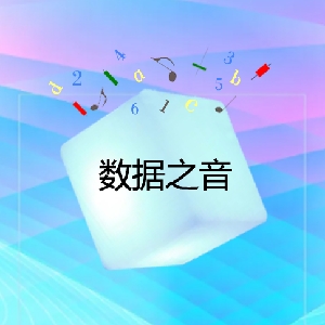 数据之音 