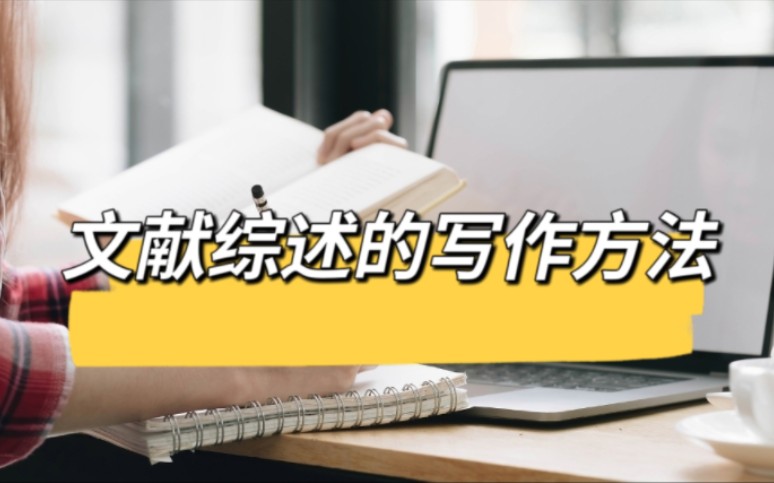 (四)文献综述的写作方法——具体实例