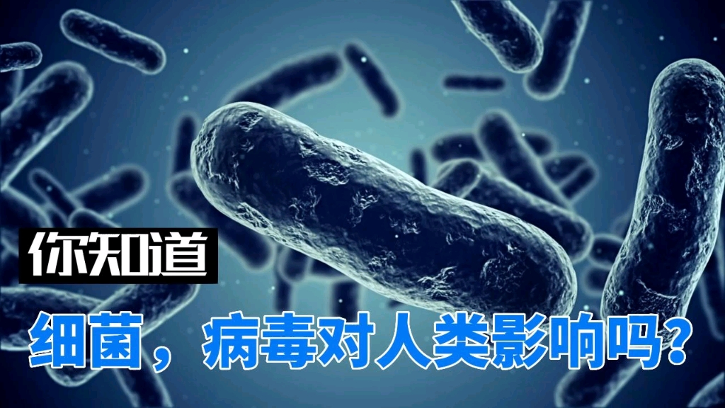 细菌,病毒,对人类的影响