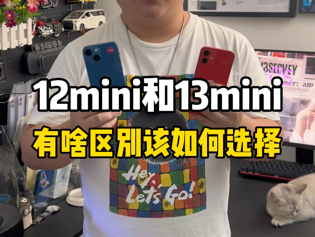 苹果12mini和13mini究竟有啥区别 该如何选择#苹果二手机 #华强北...