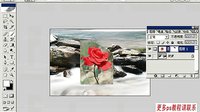 Photoshop(PS cs5教程)从入门到精通3-14