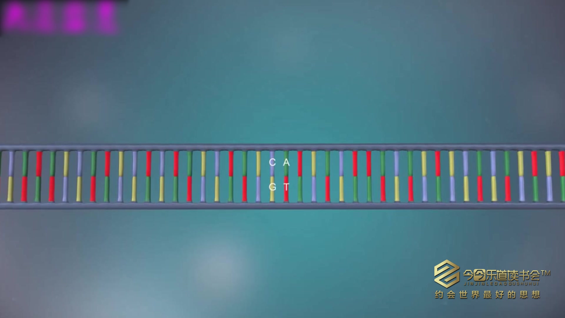 3分钟看明白DNA是如何复制的