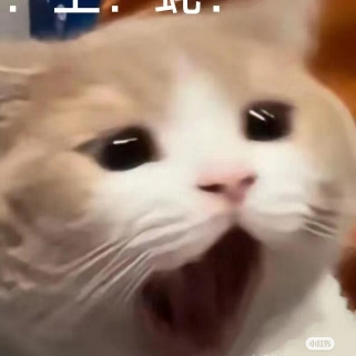 一梦江湖白鱼鱼 