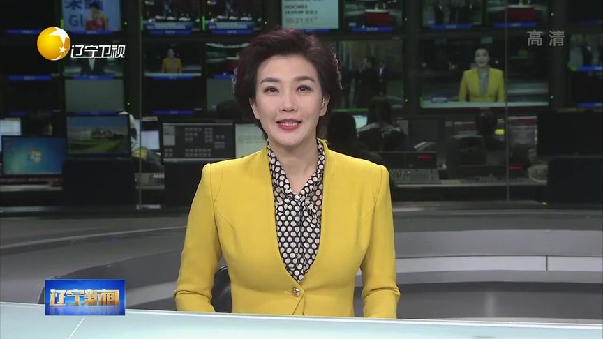 辽阳:抓住重点,突出难点 推进国资国企改革