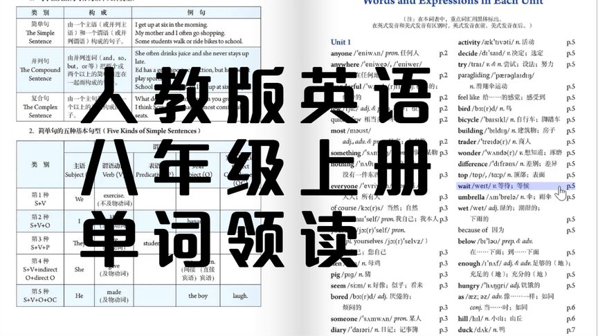 人教版英语 八年级上册 单词 领读