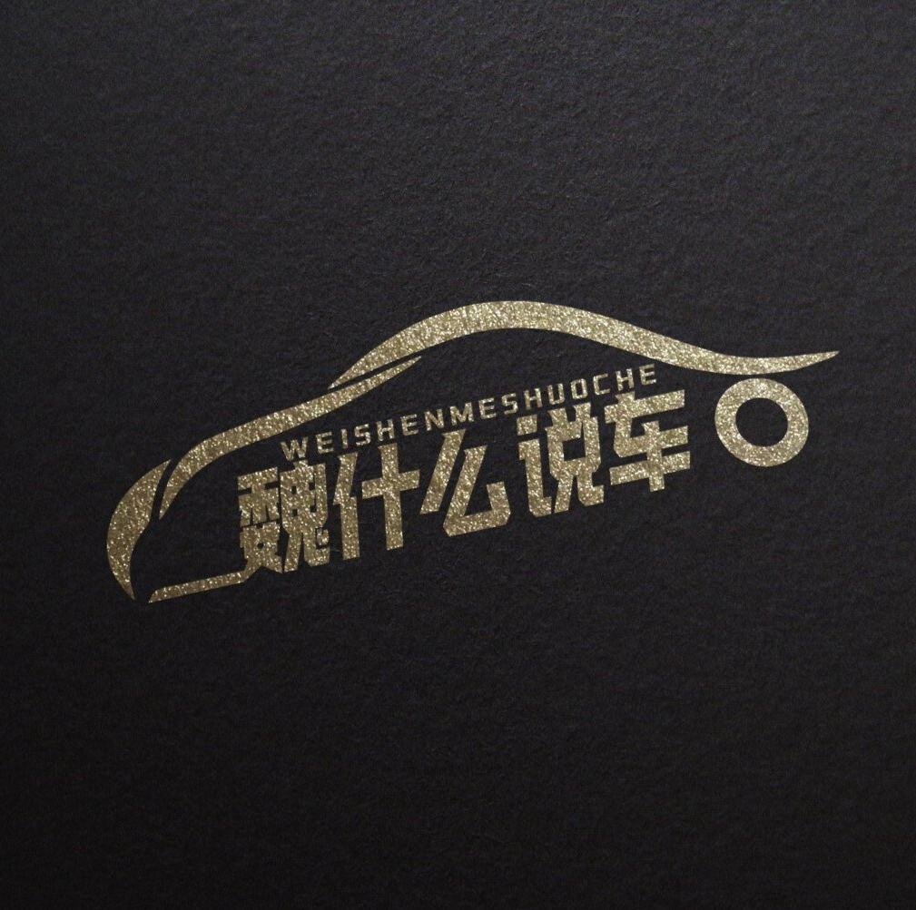 魏什么说车 