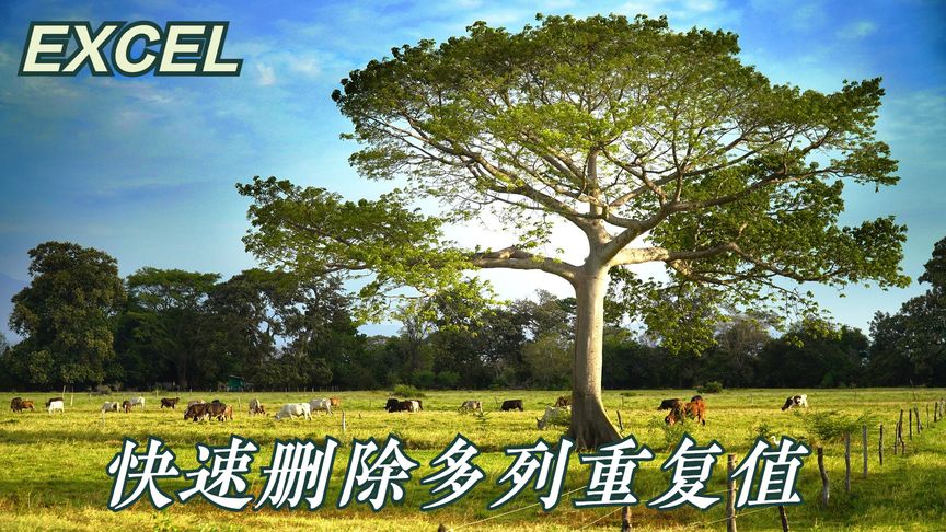 Excel(18):快速删除多列单元格中的重复值,提取唯一值