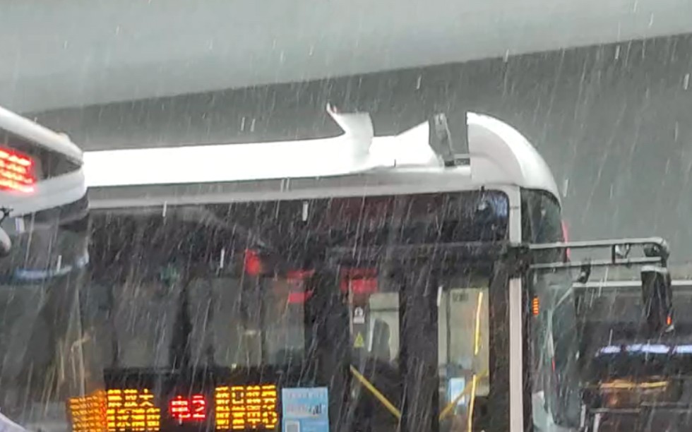 武汉宇光无轨电车鱼池被撞烂