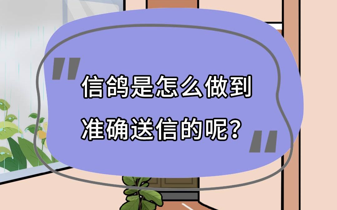信鸽是如何知道送信位置的?会不会迷路?
