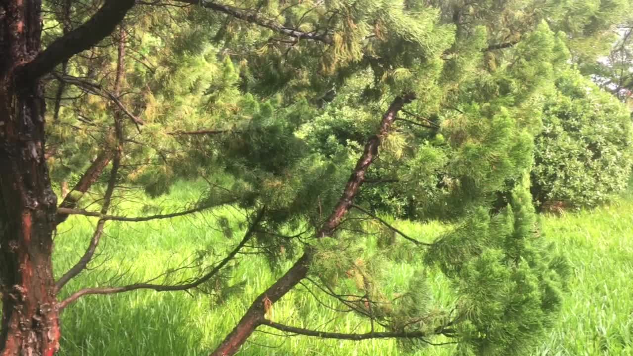 滴答滴答滴答滴答 时针它不停在转动.