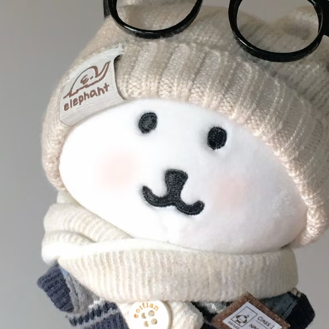 小熊的文科世界 