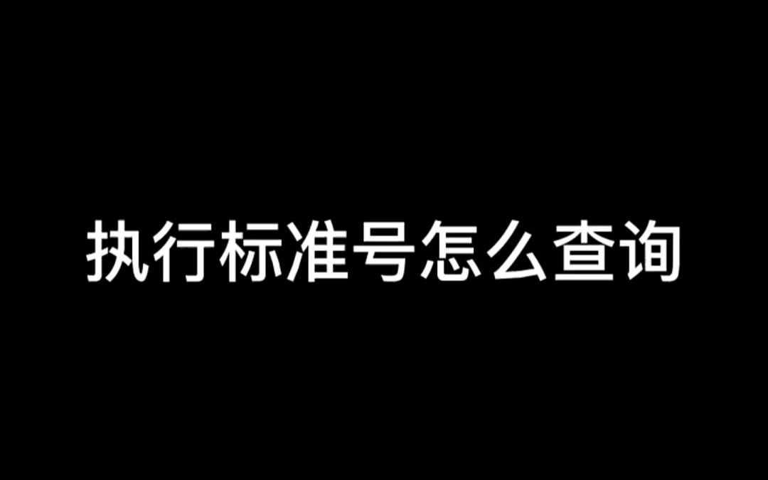 执行标准号怎么查询?