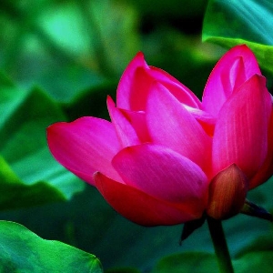 宋春慧宋春慧 