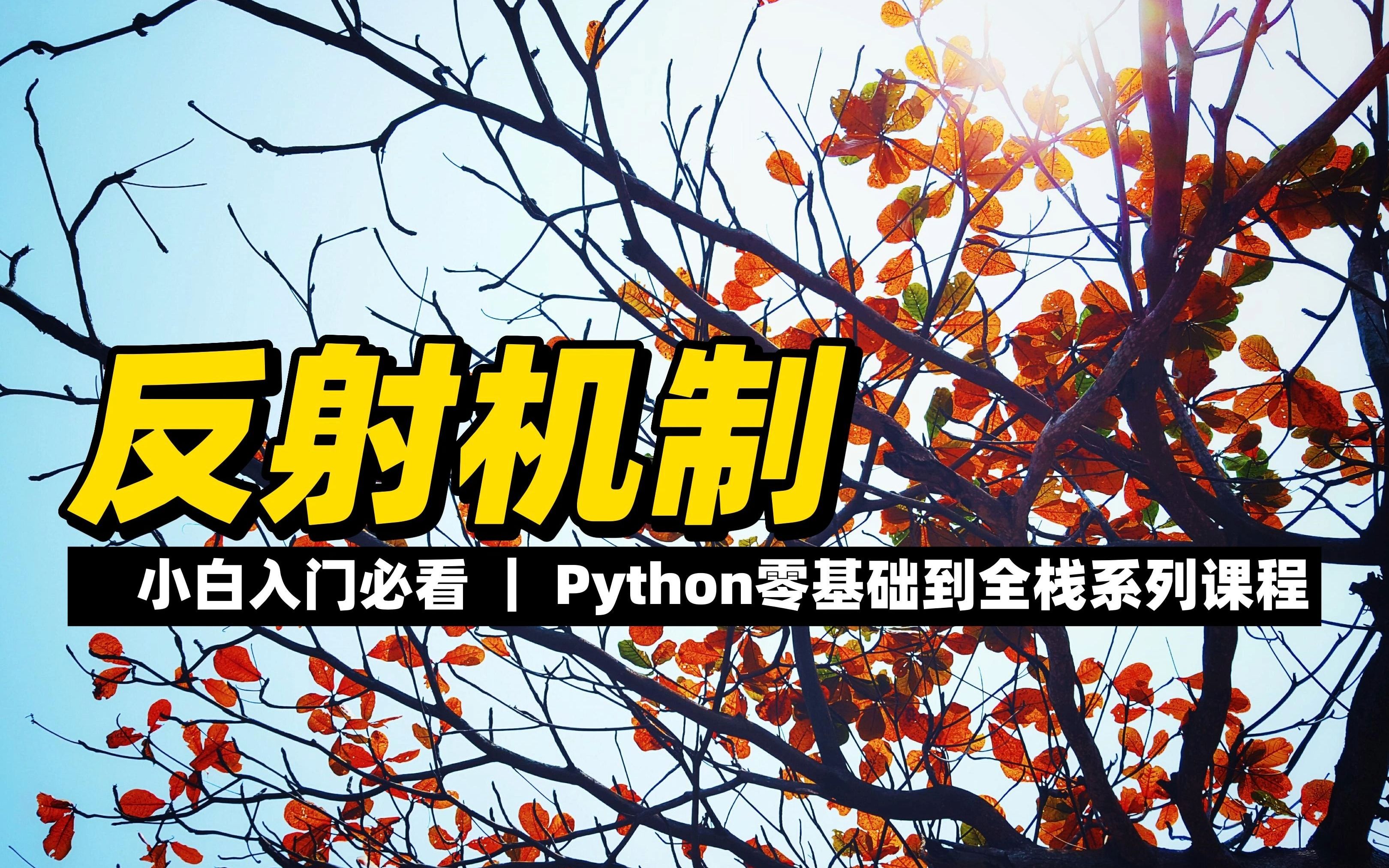 反射机制 - 《Python零基础到全栈系列》