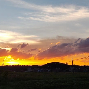 星火逐月 