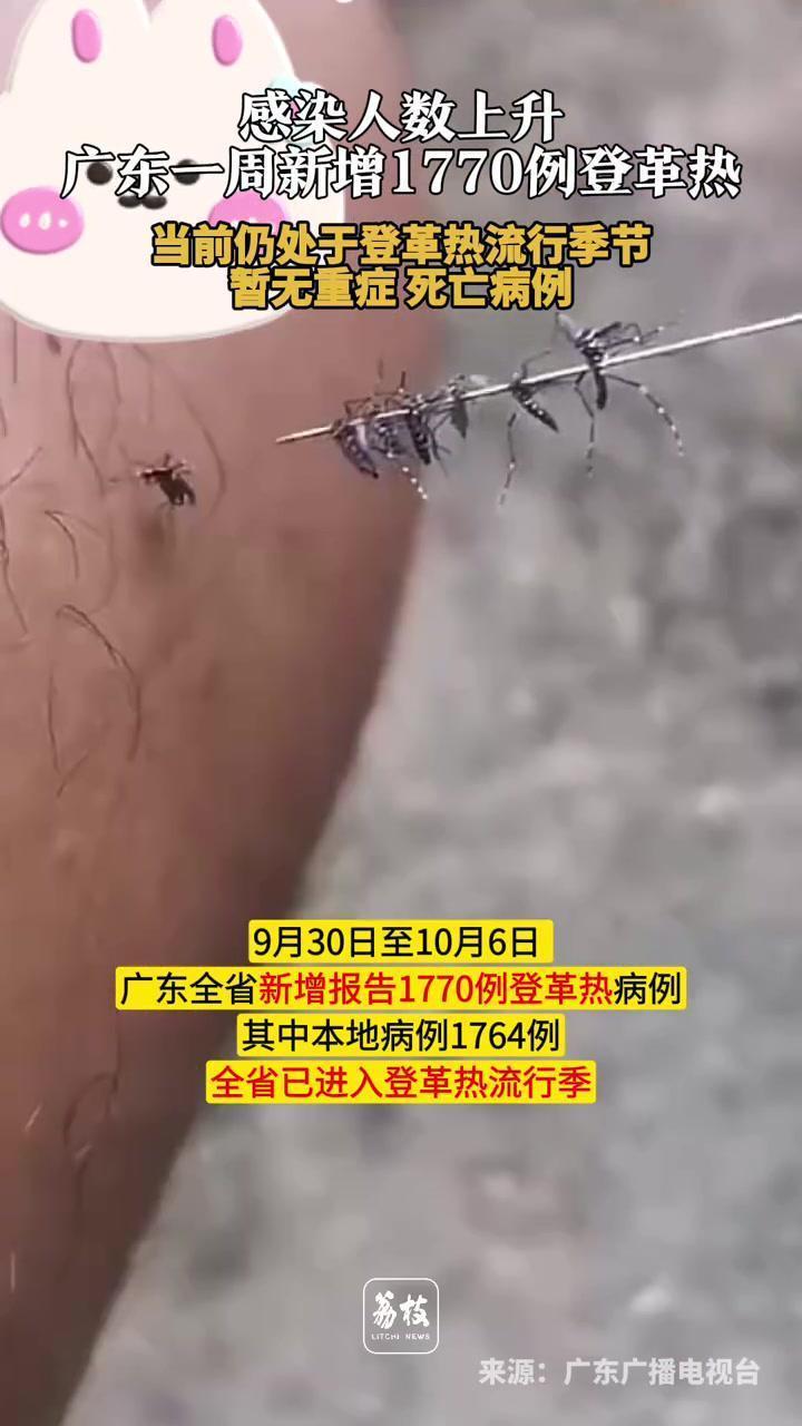 感染人数上升!#广东一周新增1770例登革热当前仍处于登革热流行季节...