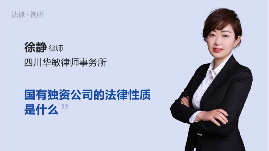国有独资公司的法律性质是什么