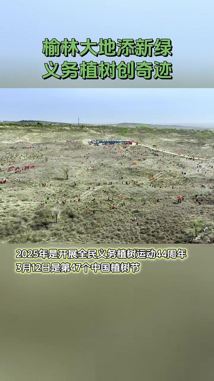 如今,榆林的沙地已被大片郁郁葱葱的树林取代,曾经的不毛之地变成了...