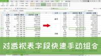 透视表中的手工分组统计, 想怎么组合就这么组合, 灵活!