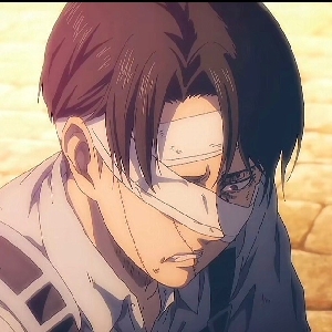 41秃 