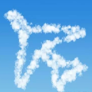 小炮崽 