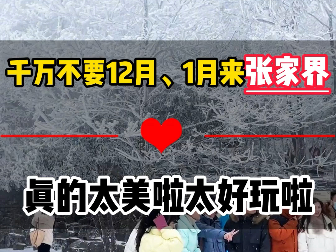 千万不要12月,1月份来张家界了,因为你能够看到的是这样和这样的风景...