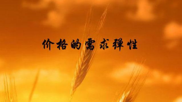 十分钟学会经济学—价格的需求弹性