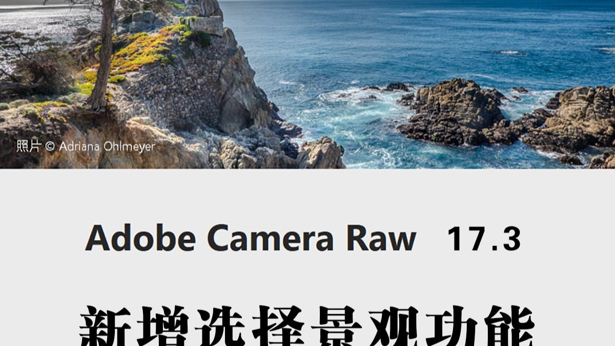 Camera Raw 17.3.1 新增选择景观功能详解