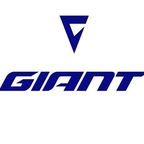 大理祥云捷安特专卖店 