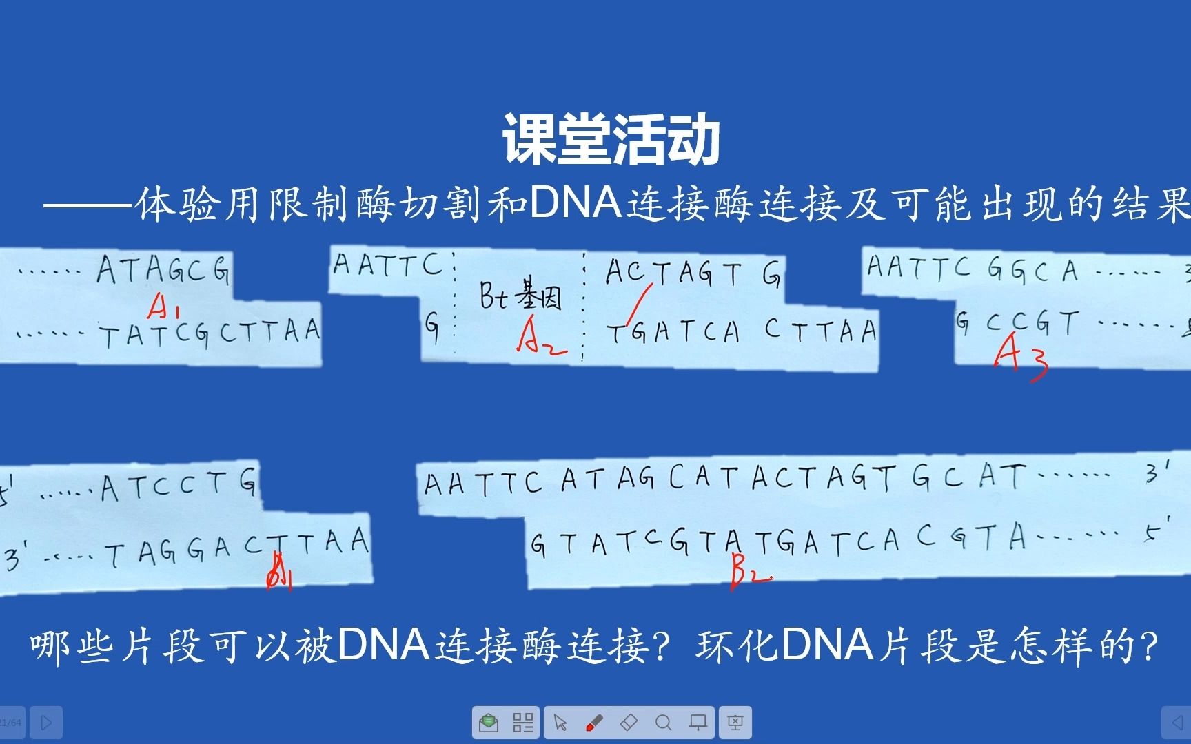 3.1 重组 DNA 技术的基本工具 第3节课(有学生活动)