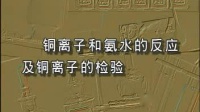 活泼的金属锌与不活泼的金属铜连接起来与稀硫酸的反应.flv