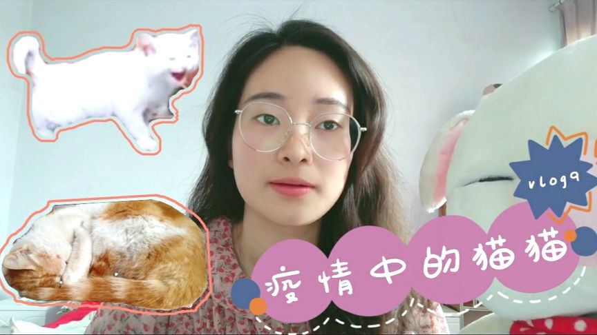 vlog9|流浪小猫没人敢碰,猫会感染新冠病毒吗?希望病毒原地消失