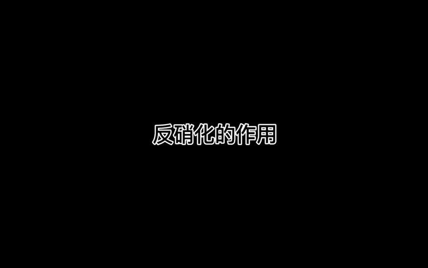 【污水处理】反硝化的作用是怎样的?