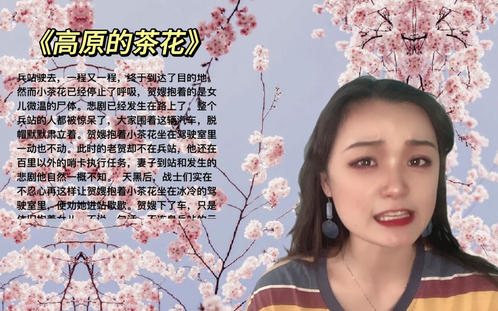 稿件:朗诵《高原的茶花》