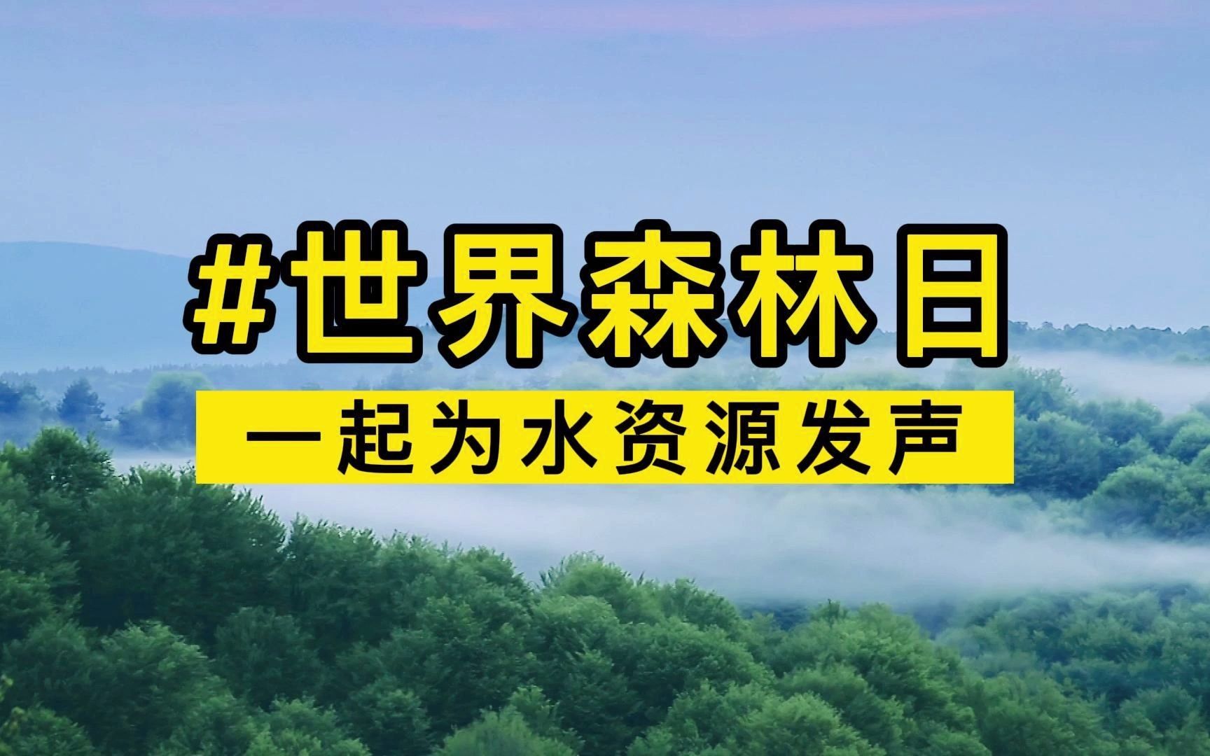 今天是世界森林日,保护森林保护环境为绿色资源发声