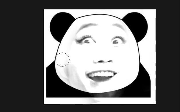【日升CG微课堂】PS教程 熊猫表情包的制作