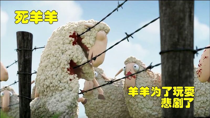 羊群为了在一起玩耍,连铁栅栏都不怕,结局让人沉默8