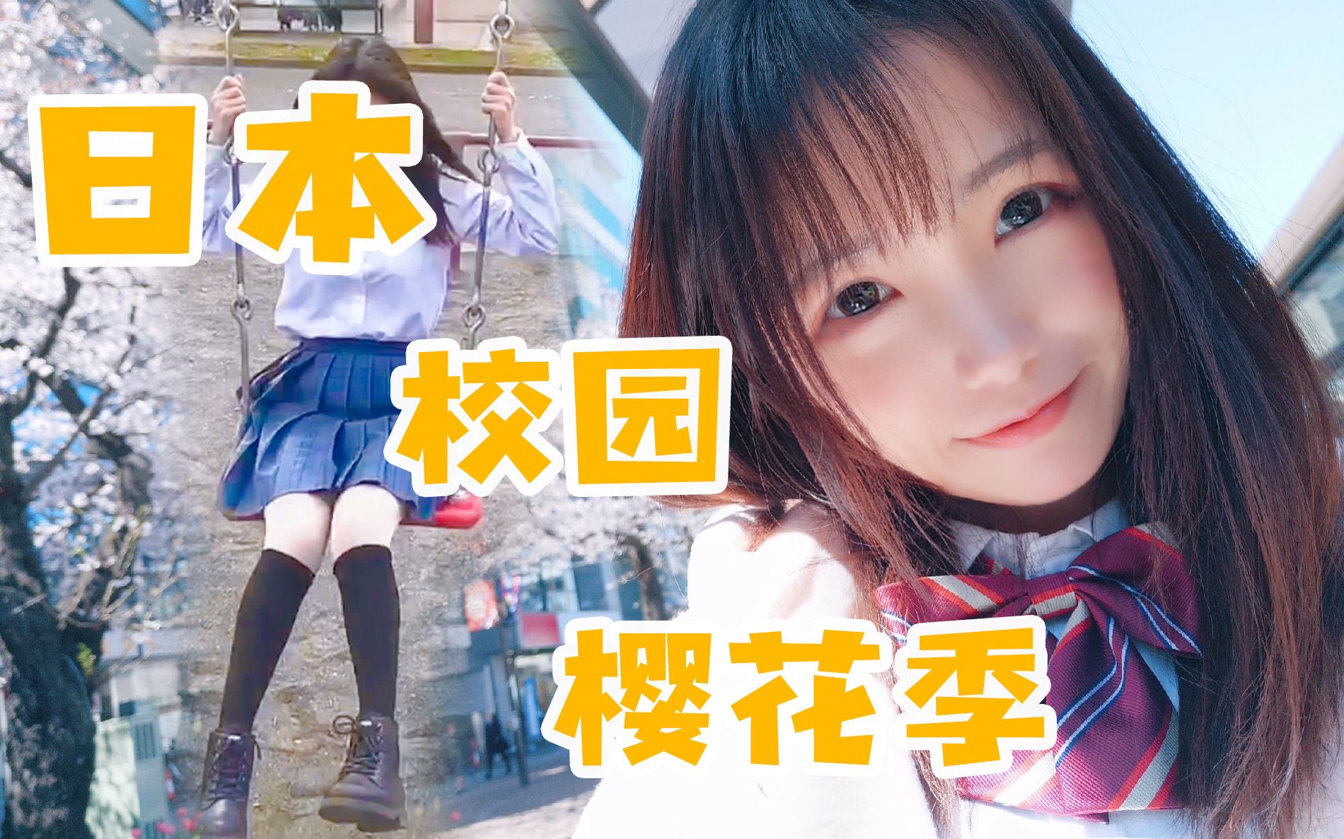 日本大学校园里的樱花季,这也太好看了吧!一桥大学|大学食堂|原宿|涉谷...