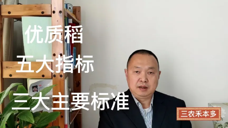 优质稻3大主要标准,5大指标类,简单了解有助于选择品种