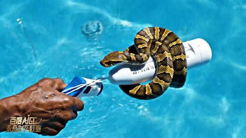 惊!温度计上竟盘着活蛇测温,这读数你敢信吗?