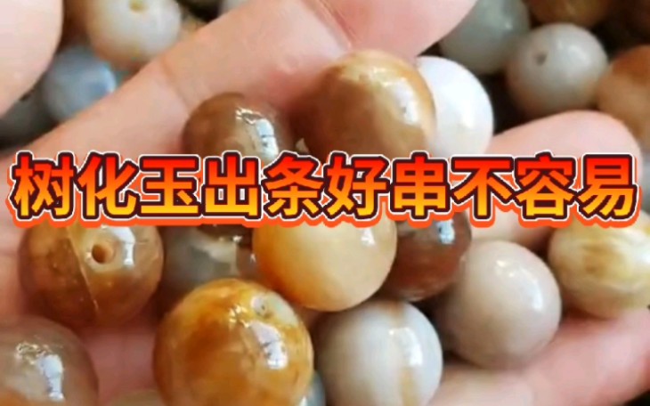 由于树化玉的天然特性,出一条好手串不容易!树化玉是两亿年前树木...