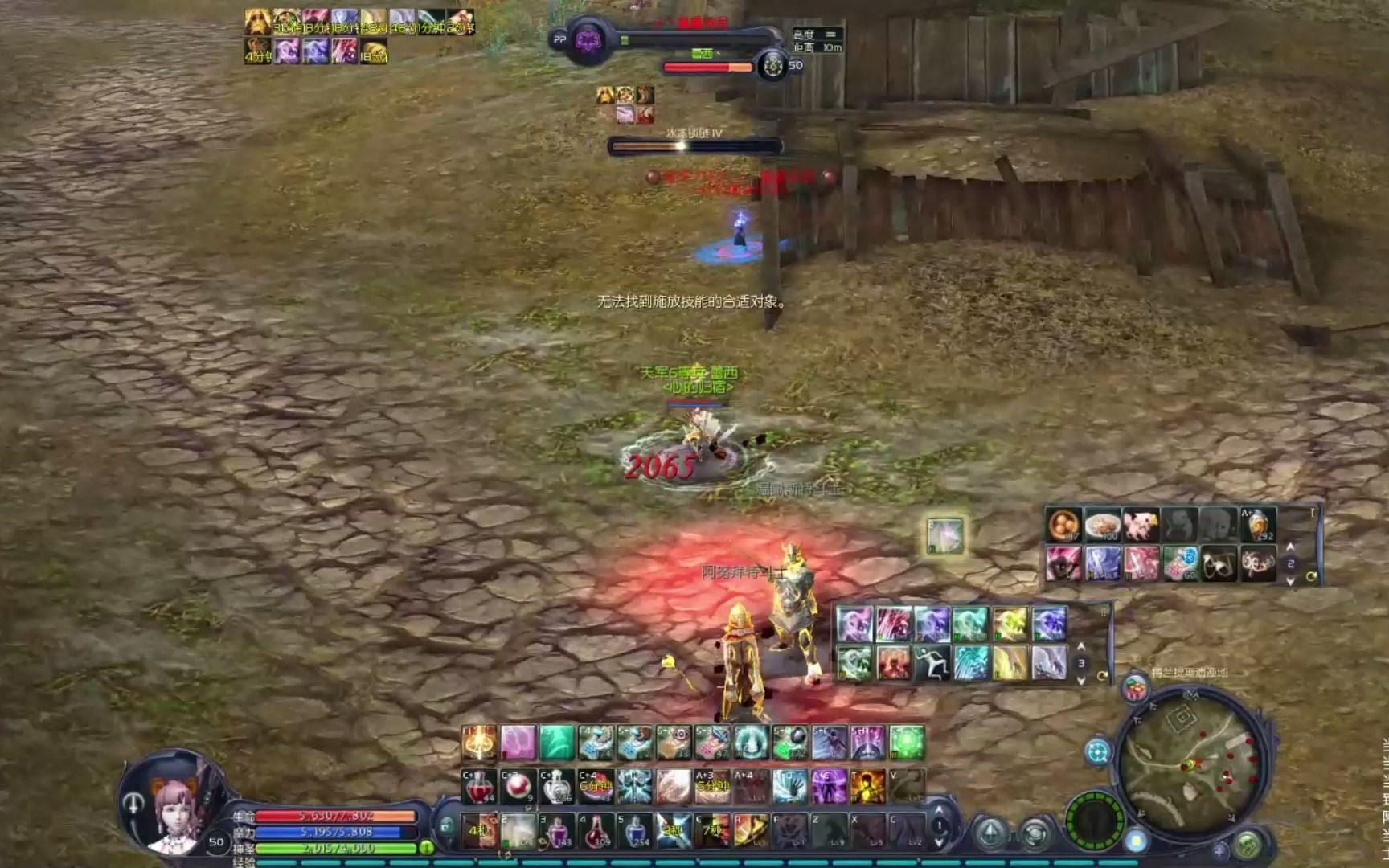 永恒之塔怀旧服护法野外PVP