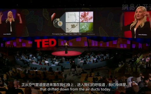 【TED】认识一下无处不在的微生物吧(中英字幕)