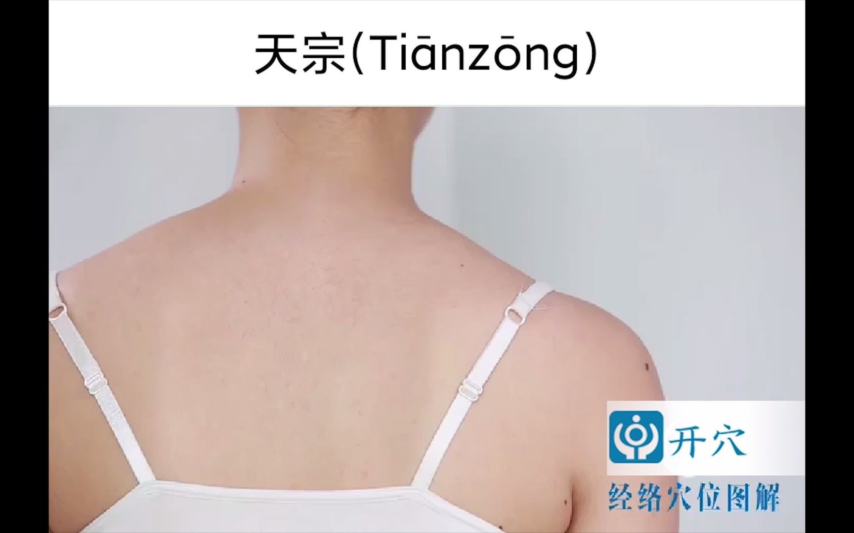 【开穴减肥】经络穴位视频:天宗(定位:在肩胛部,当冈下窝中央凹陷处,...