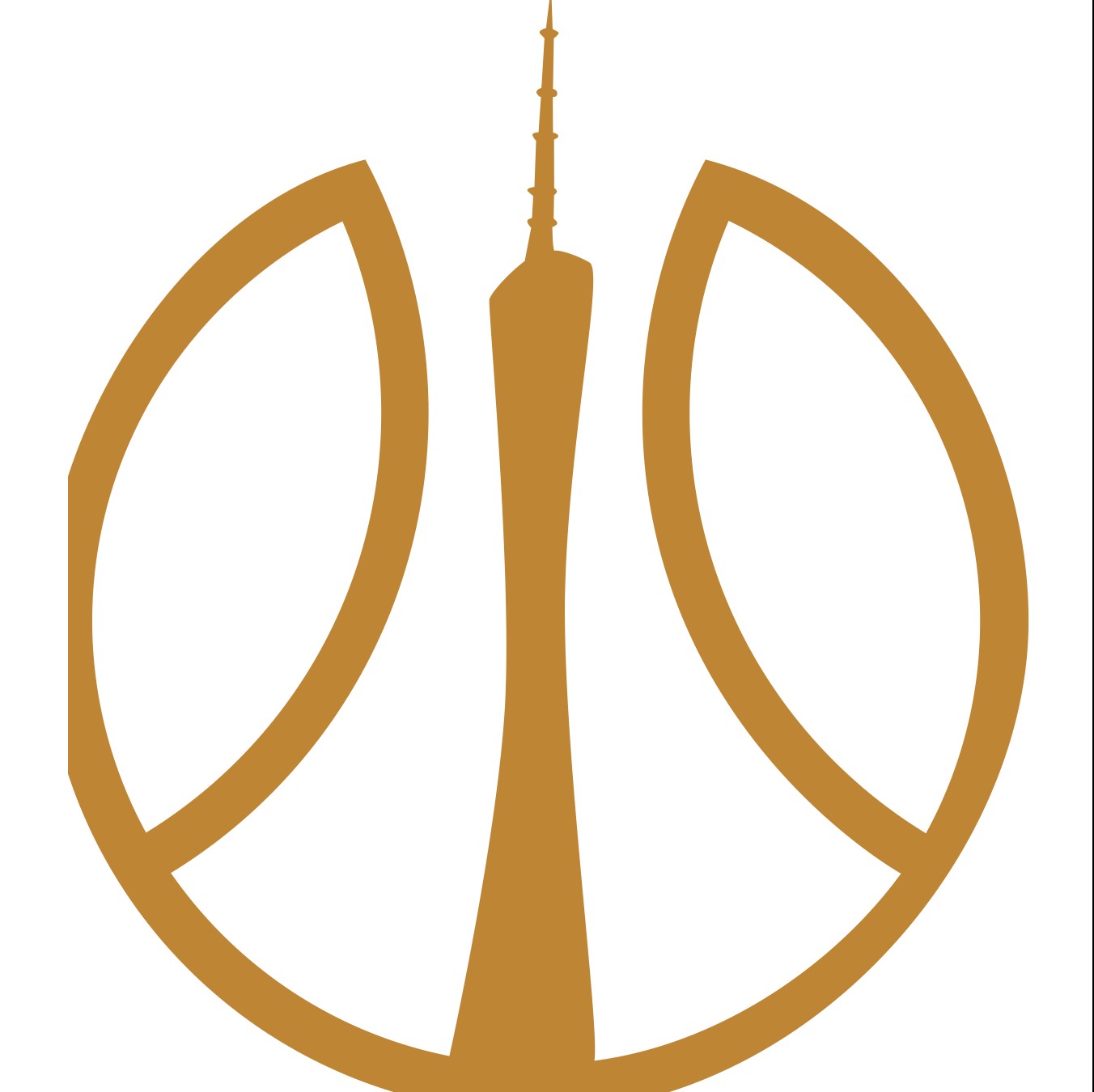 四川西南众投 