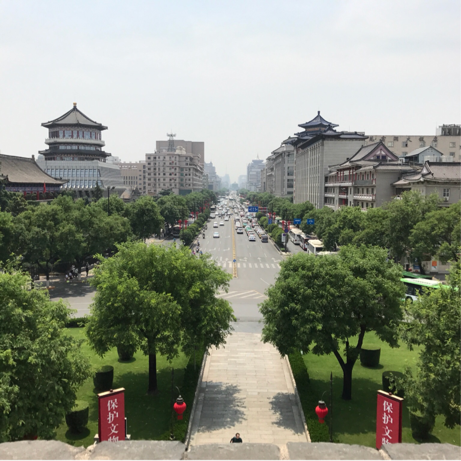 泰山顶上一青松 